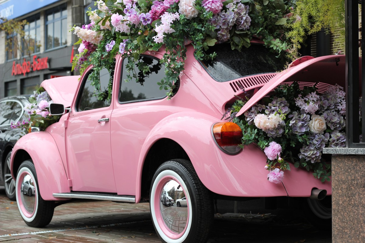 Pink Volkswagen Beetle Vintage