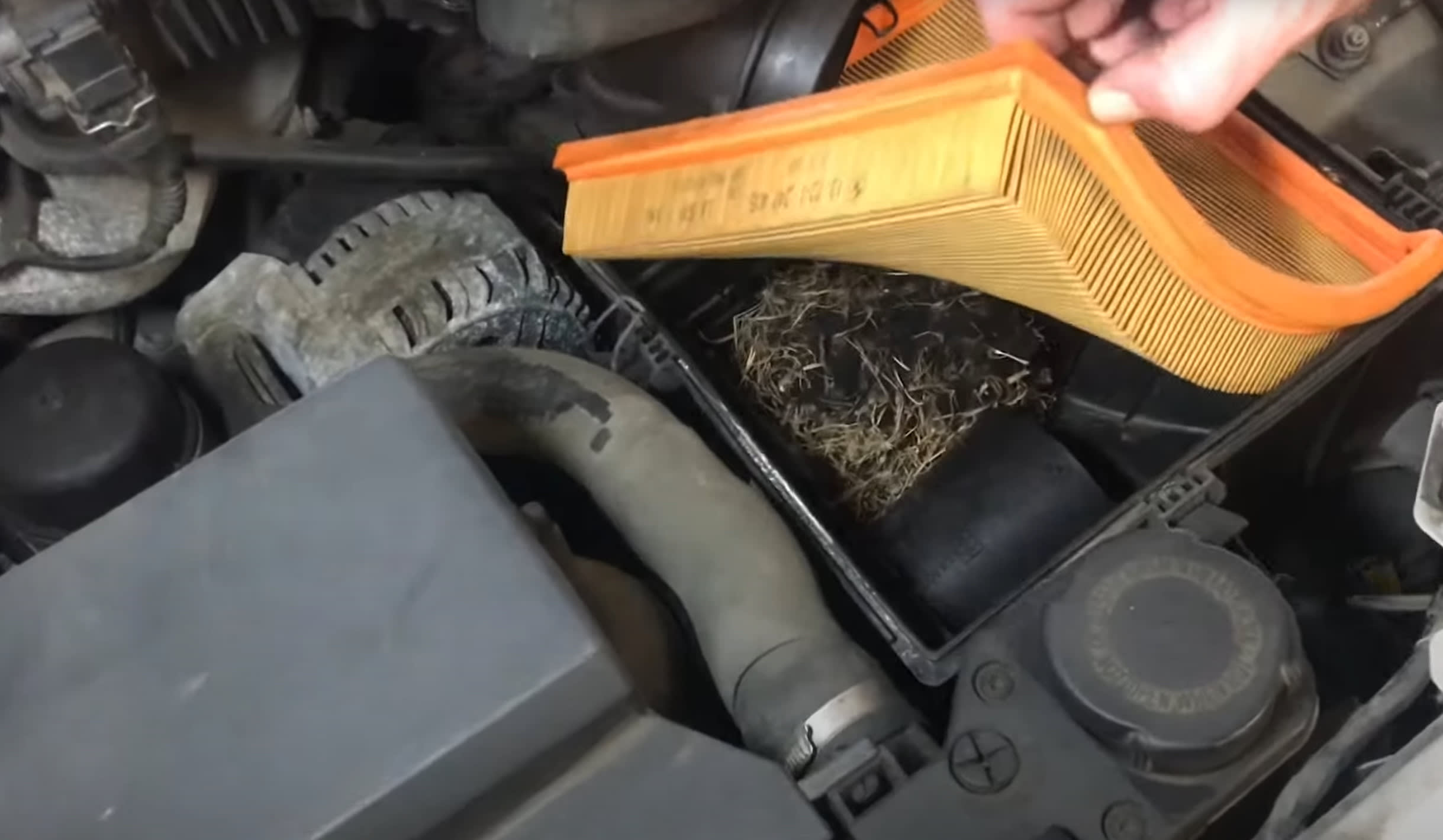 Mouse Nest in Car Engine: How to Keep Rodents Out of Engine Bay ...