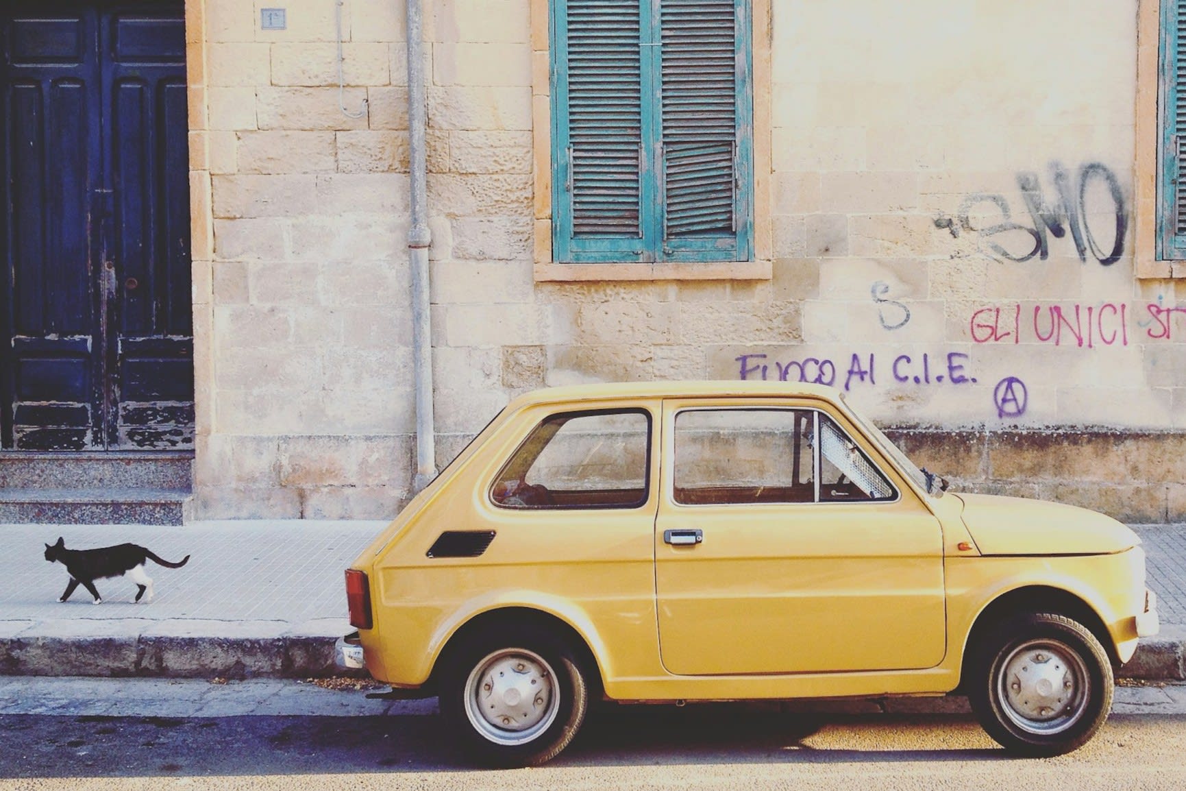 200+ Best Car Names for Cats: Funny, Cute & Cool Ideas - AxleAddict