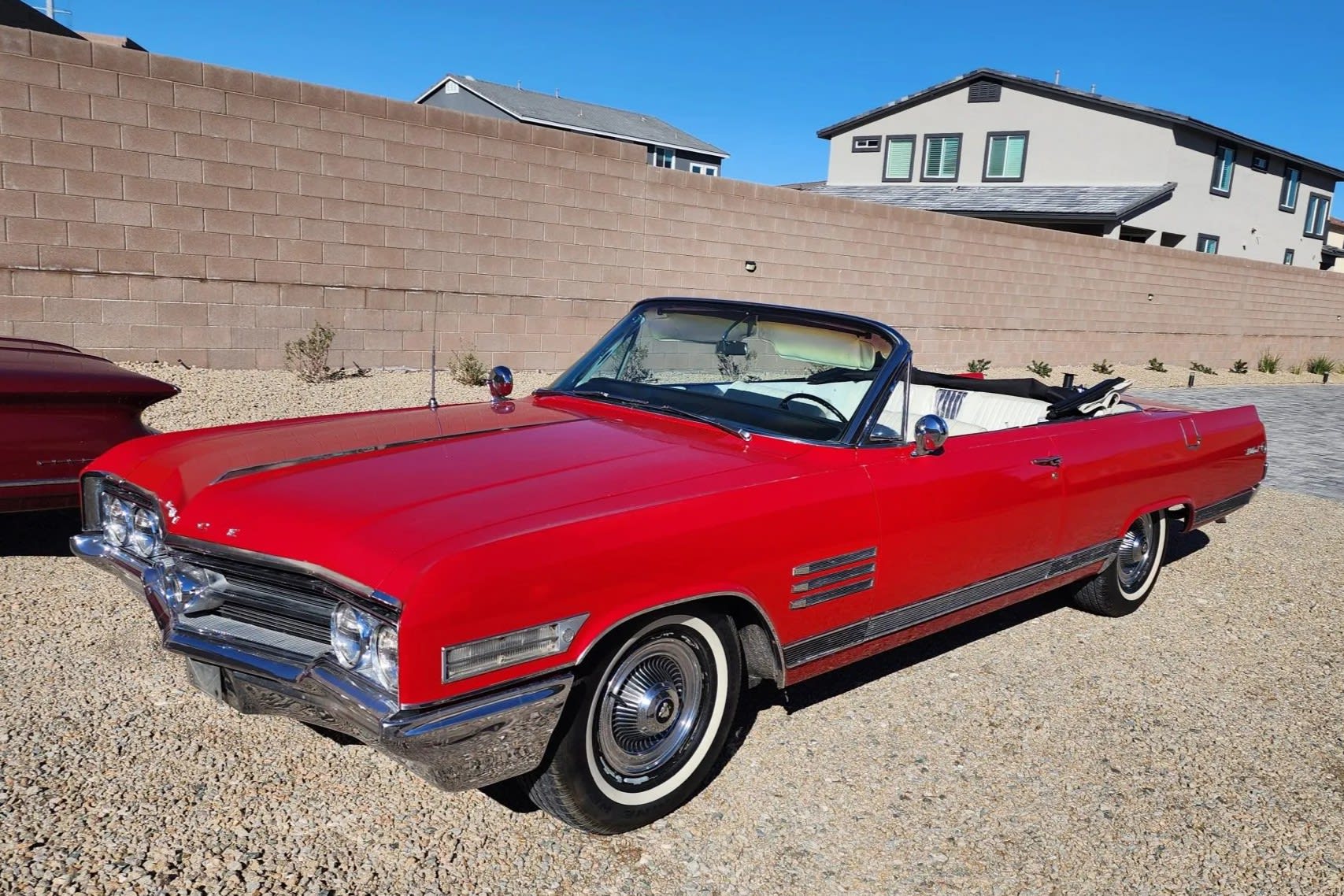 Cars Named After Animals: Mustang, Jaguar & More - AxleAddict