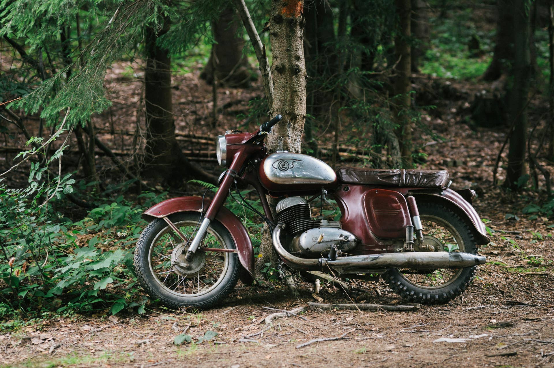 200+ Cool, Funny & Fierce Biker Nicknames to Inspire You - AxleAddict