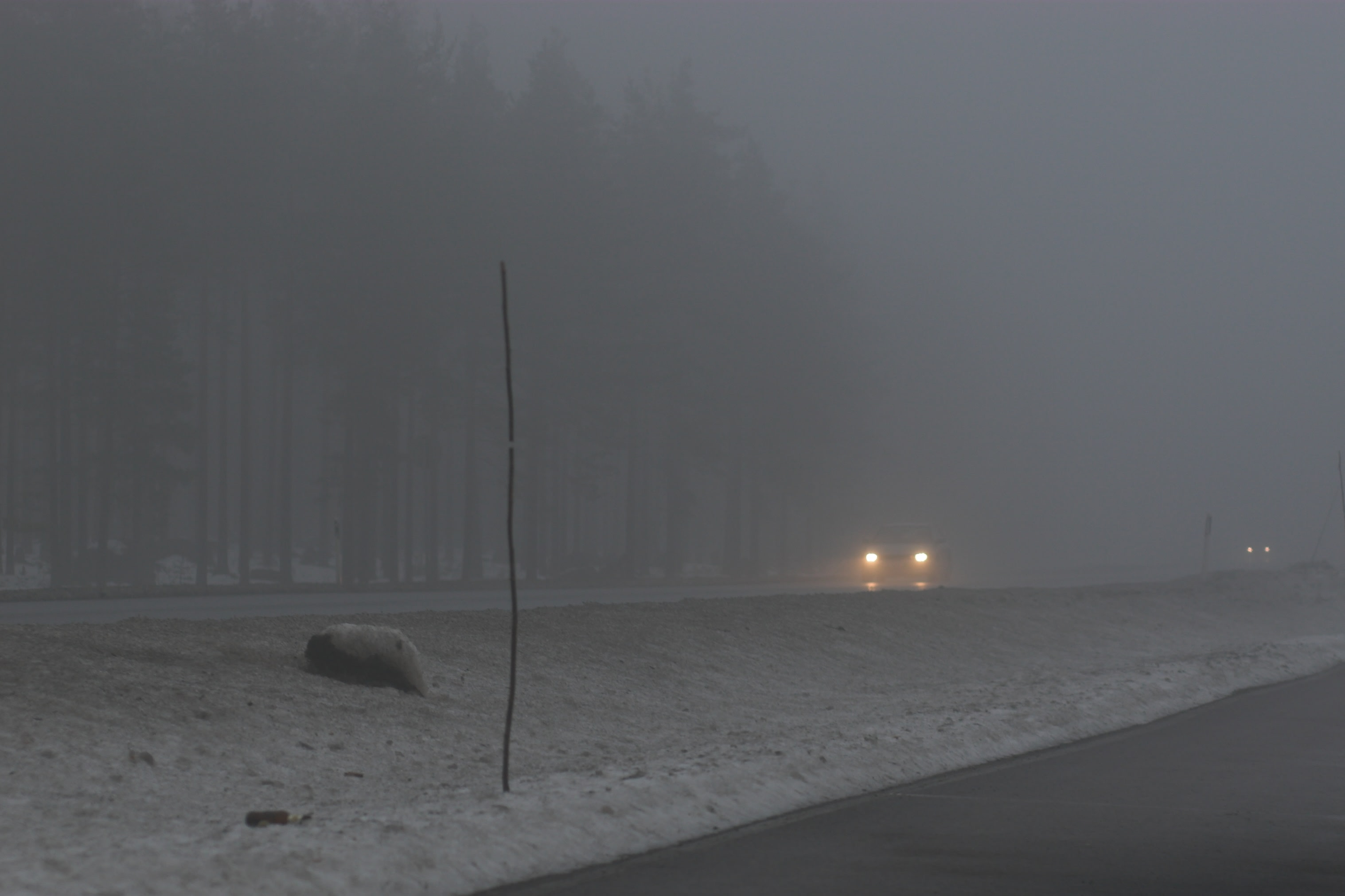 When to Use Fog Lights and What the Symbols Mean - AxleAddict